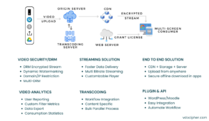 Dacast Alternative for Secure and Customizable Video Hosting