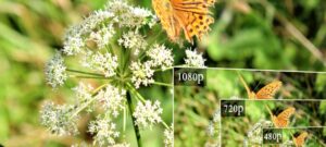 SD VS HD Video Resolutions, Quality, Formats, Platforms Compared ...